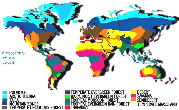 Temperate Deciduous Forest Map
